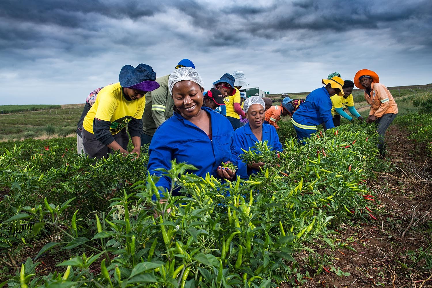 Guzakuza - Empowering Women in Agribusiness